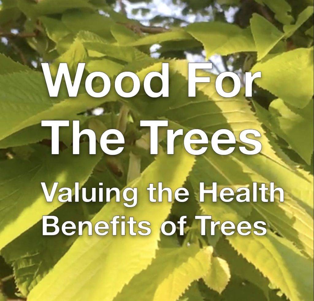 Wood For The Trees 4: Valuing the Health Benefits of Trees – Tom Barnes ...