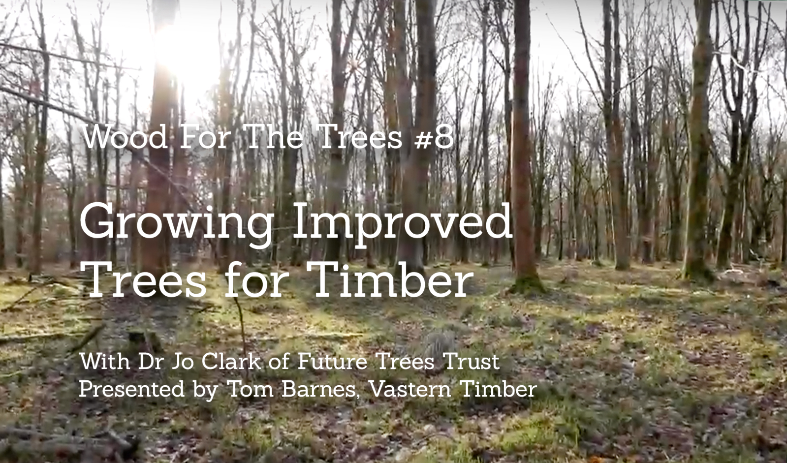 Wood for The Trees #8, with Future Trees Trust, “Growing improved trees ...