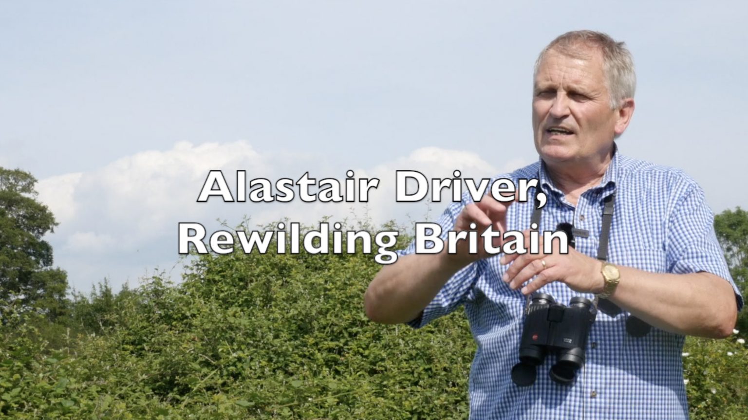 Rewilding the UK, part 10 of Wood for the Trees, coming soon – Tom ...