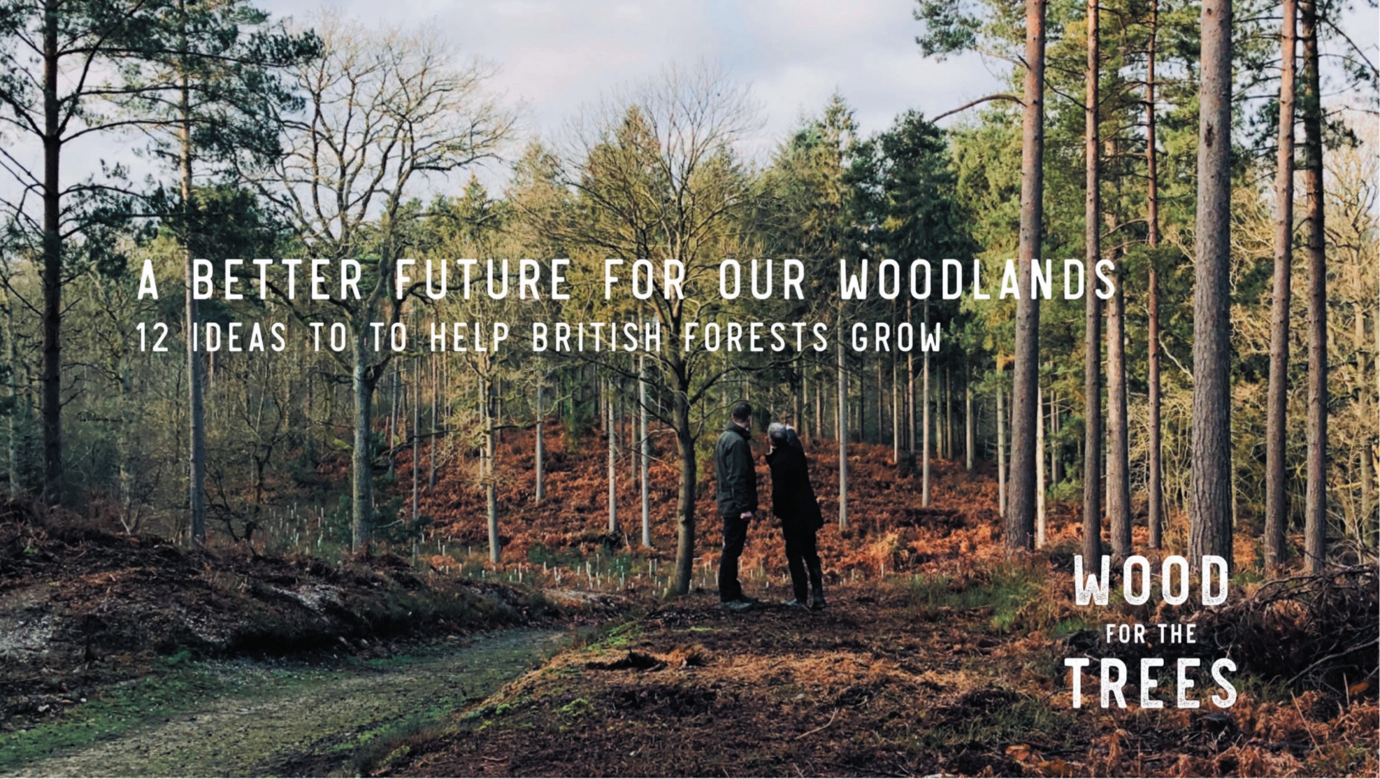 A better future for our woodlands, 12 ideas to help British forests ...